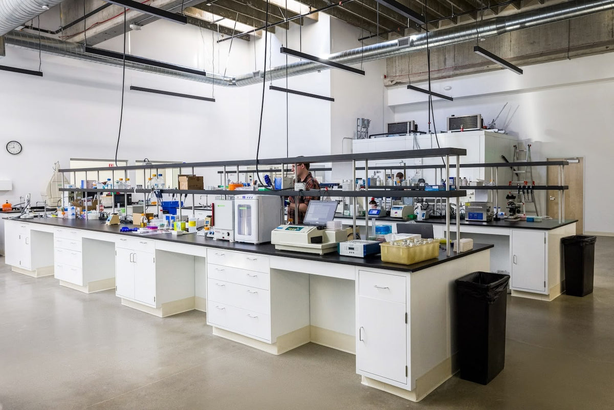 About Berkeley Yeast