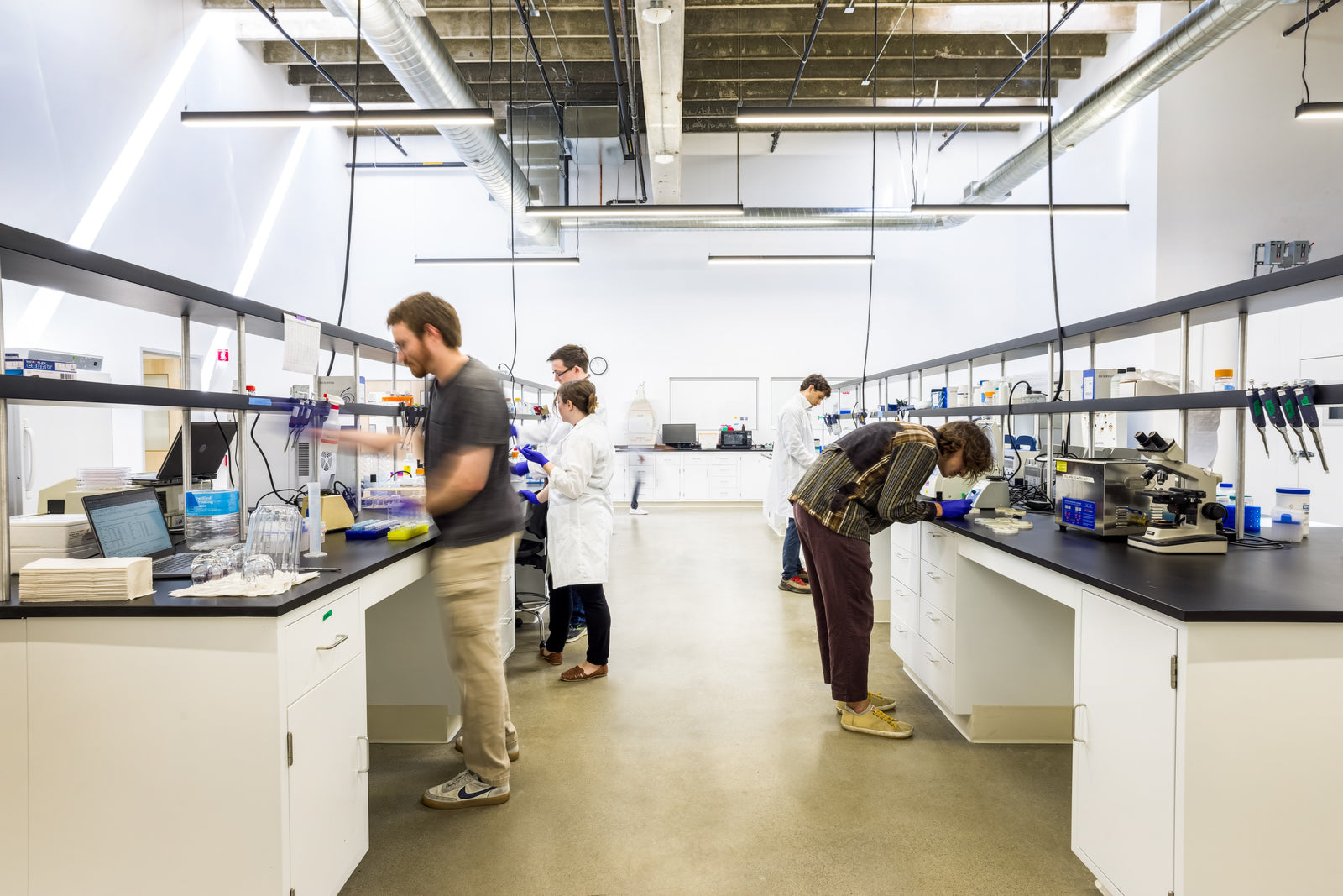 Berkeley Yeast Benefits