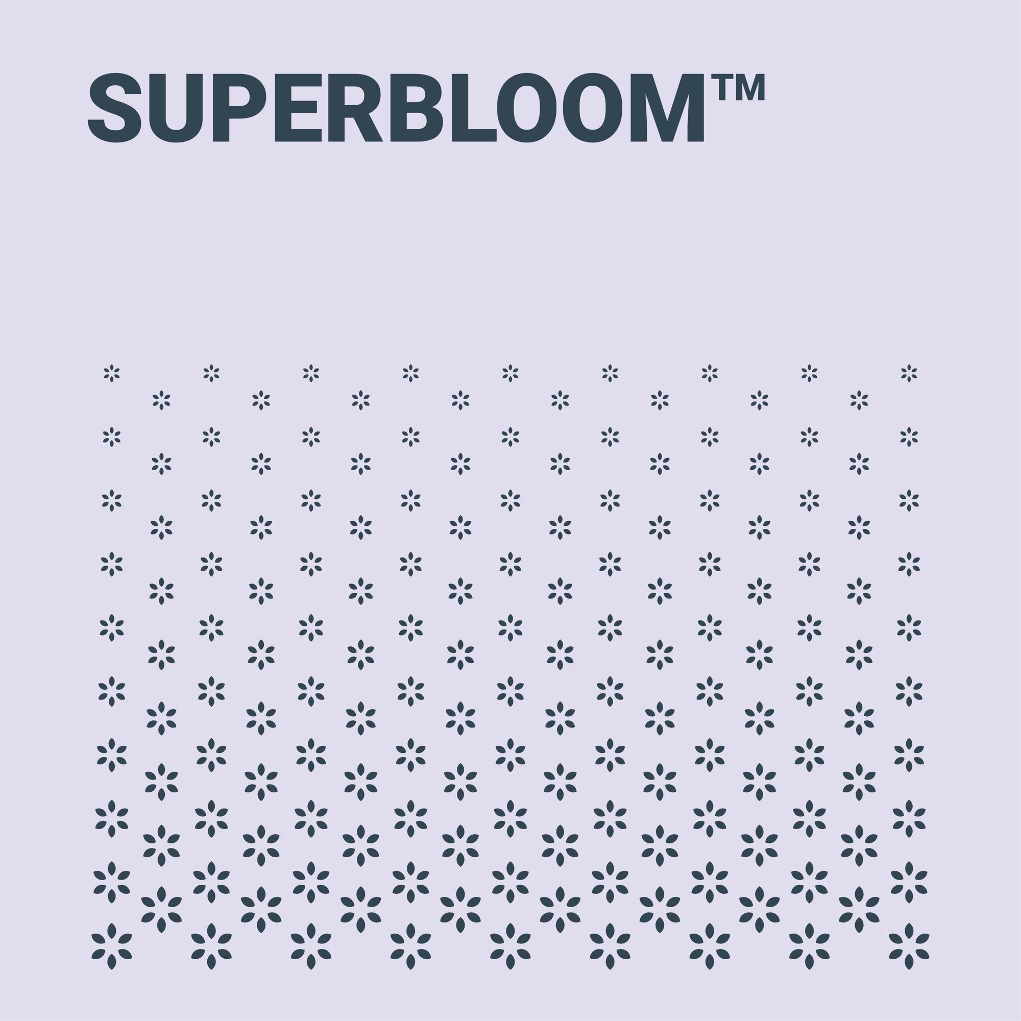 SUPERBLOOM